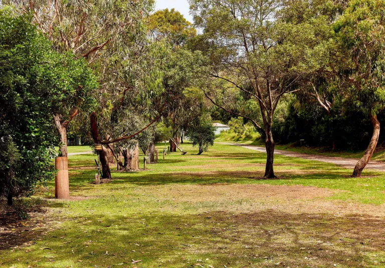 Great Ocean Road Parks | Kennett River